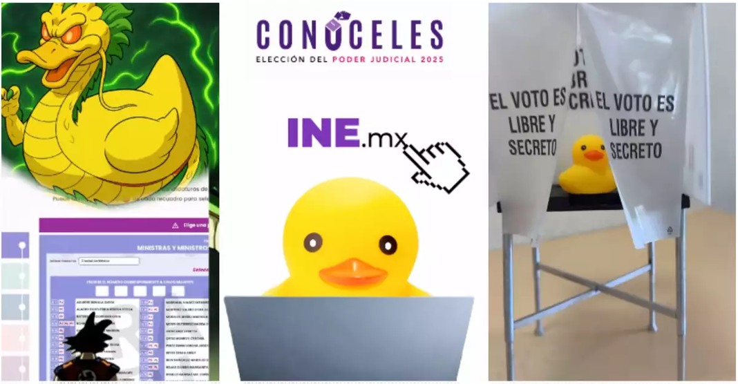 ¿Memes, patitos y anime? El INE lo intenta todo para que vayas a votar ...