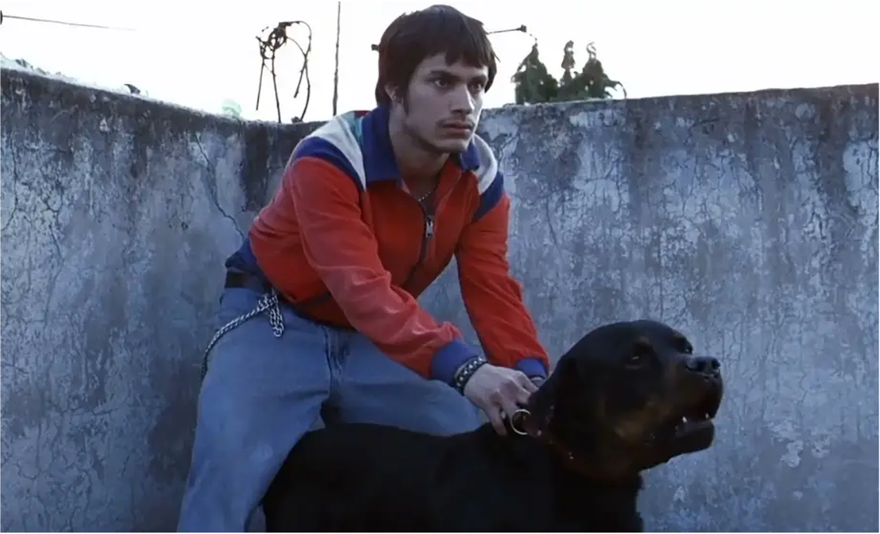 “Sueño Perro”: la instalación inmersiva de Amores Perros llega al ...