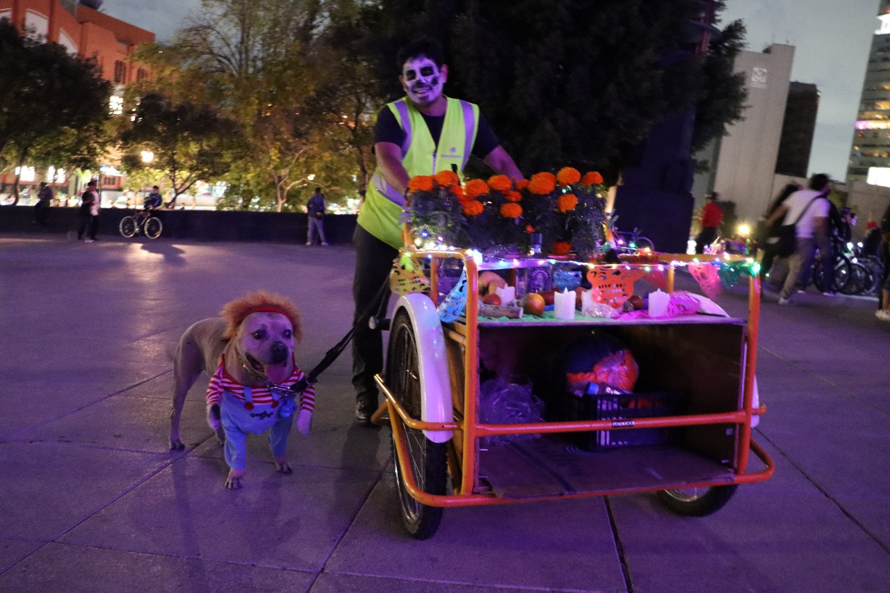 El Paseo Nocturno celebra el Día de Muertos con un concurso de ...