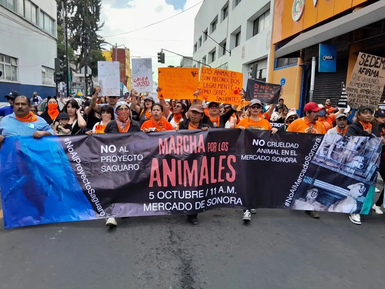 Marcha animalista exige fin al maltrato y tráfico de fauna en el ...