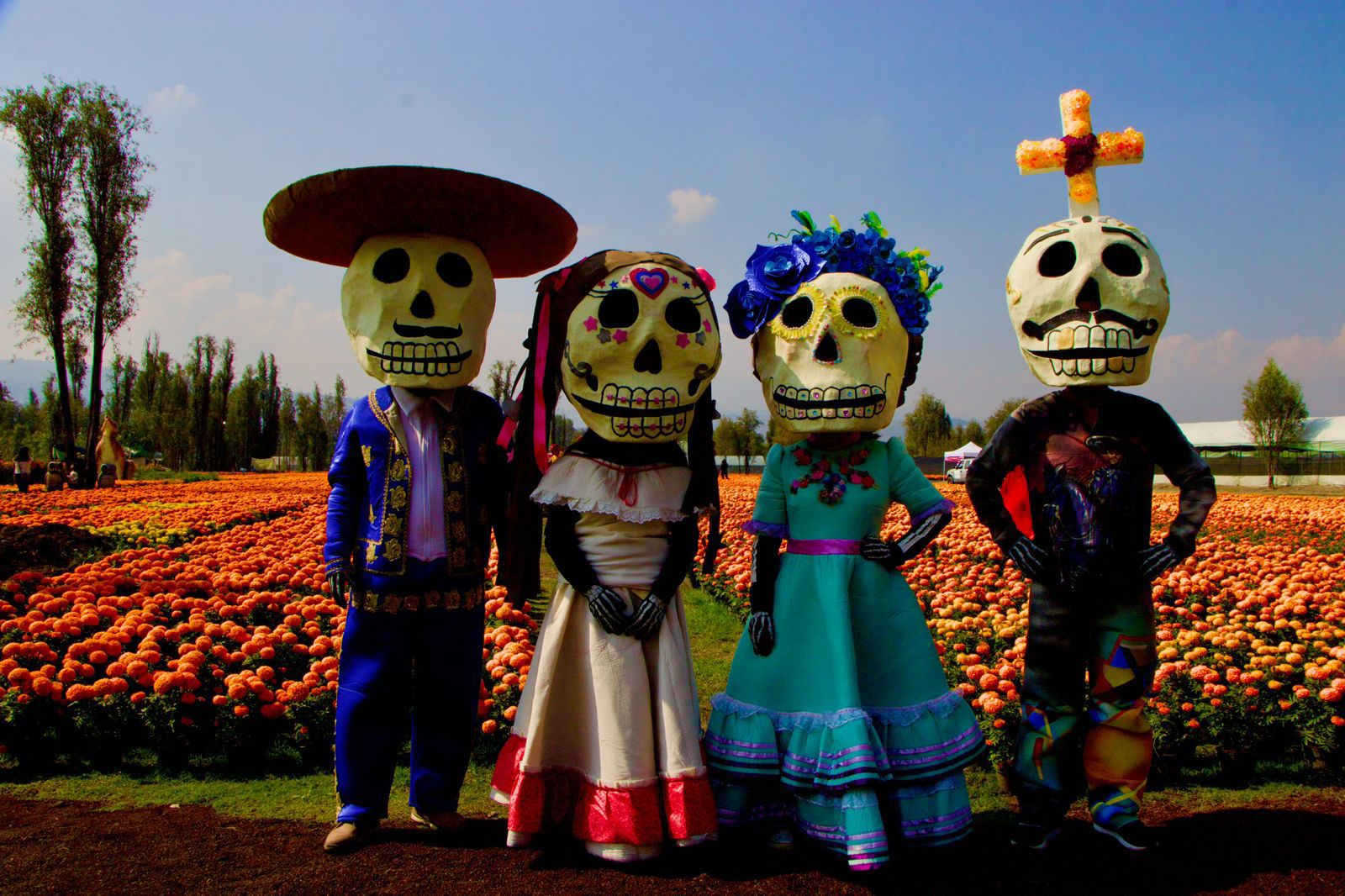 CDMX llevará a cabo 414 actividades gratuitas por Día de Muertos del 25 ...