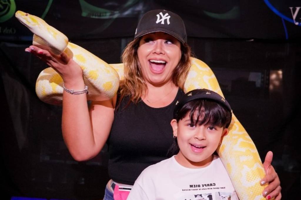 Fin de semana en la CDMX: Animalia México Otoño 2025, la gran fiesta de ...